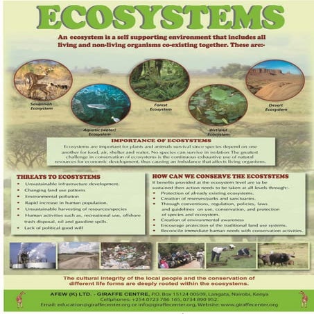 Ecosystems Poster | PDF