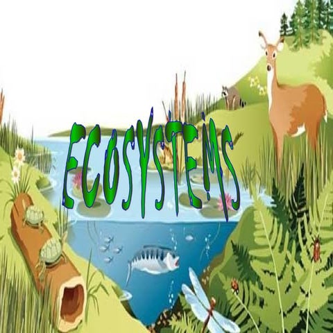 Ecosystems - Elementary | PPT