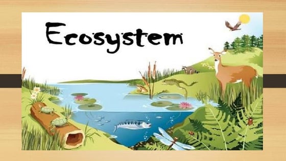 Aquatic ecosystem | PPT