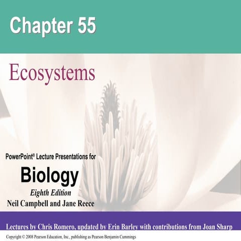 ENERGY FLOW IN ECOSYSTEM | PPTX