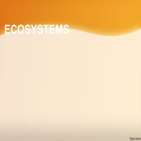 Ecosystems 1 | PPT