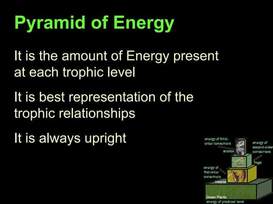 Energy pyramid lesson | PPT