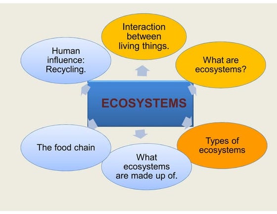 UNIT 5: ECOSYSTEMS | PPTX