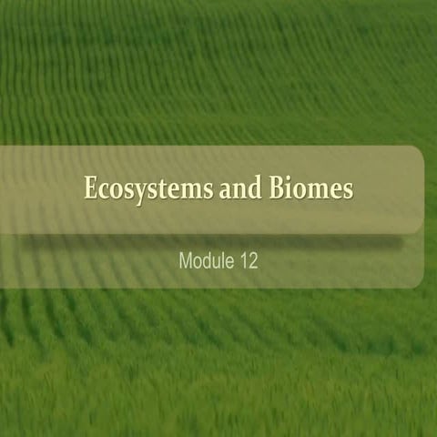 Powerpoint ..biomes | PPT
