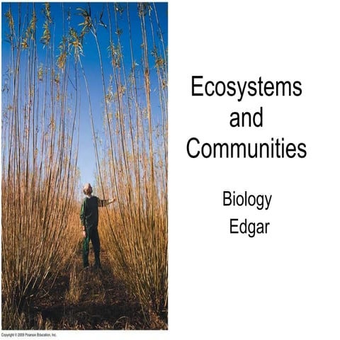 Biology - Populations biology 1011 | PPT