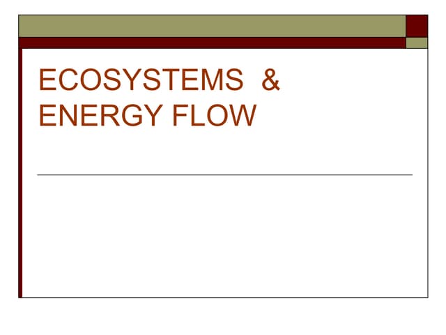 ENERGY FLOW MODELS.pdf
