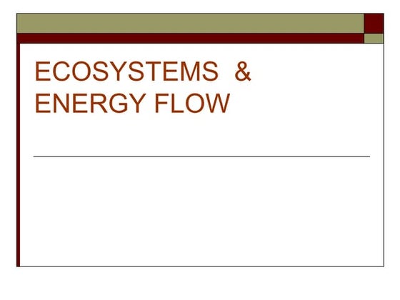 Module 4 energy flow in ecosystems | PDF