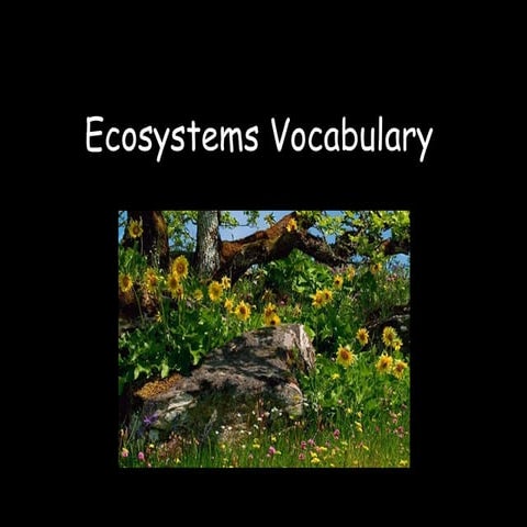 Ecosystems and Food chains for 4thg.pptx