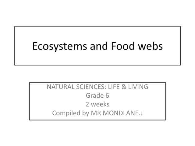 Lesson pla2 term 4 | DOCX