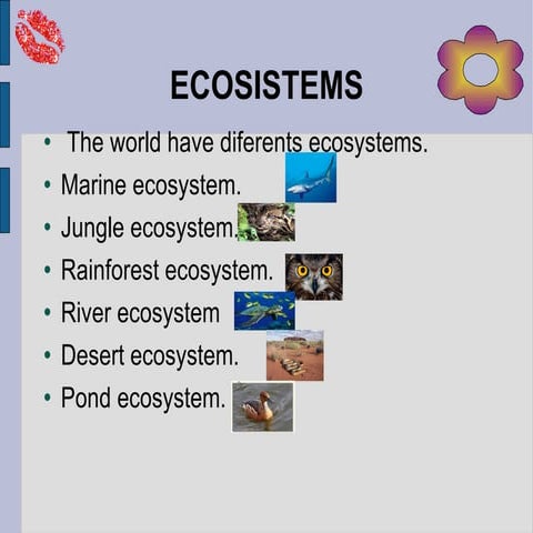Ecosystems by maria katley 5ºa | POT