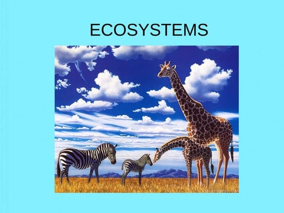 Organisms and their habitats | PPT