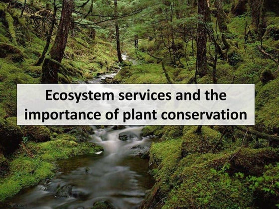 PPT OF BIODIVERSITY | PPT | Geography | Science