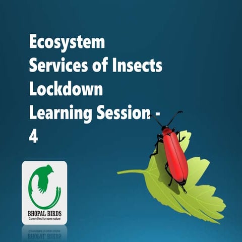 Eco system services of insect | PPTX
