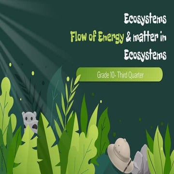 ECOSYSTEMS_ FLOW OF ENERGY | PDF