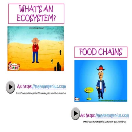 Ecosystems, 4th year of Primary education | PPTX