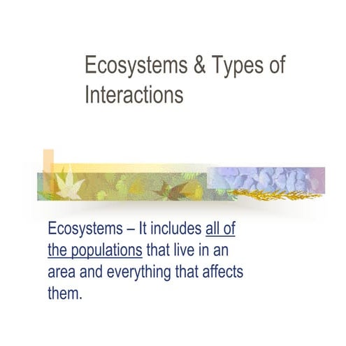 Ecosystems – interactions pdf | PPT