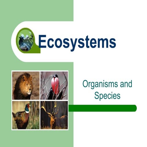 Ecosystems Lesson 3 | PPT