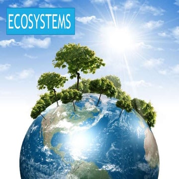 Lesson 4: Ecosystems | PPT