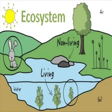 Ecosystem Types.pptx