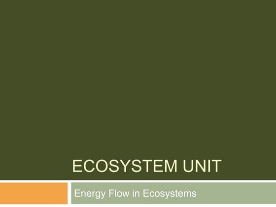 Energy flow in ecosystem | PPT | Environment | Science