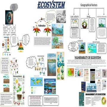 ECOSYSTEM WALL MAGAZINE00903476011-2.pptx