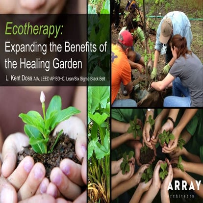 EcoTherapy and its Effects on Design | PPTX