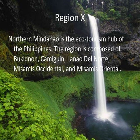 REGION-10-NORTHERN-MINDANAO.pdf
