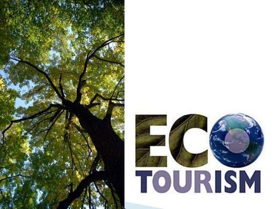 Ecotourism | PPT