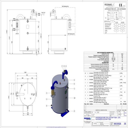 Ecovap 50 kg elettrico con quadro - Ecovap 50 kg eexd electric with ...