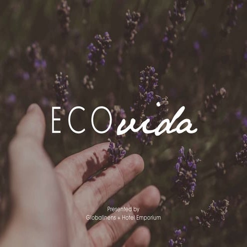 Eco vida brand guide globalinens | PDF | Skin and Dermatology ...