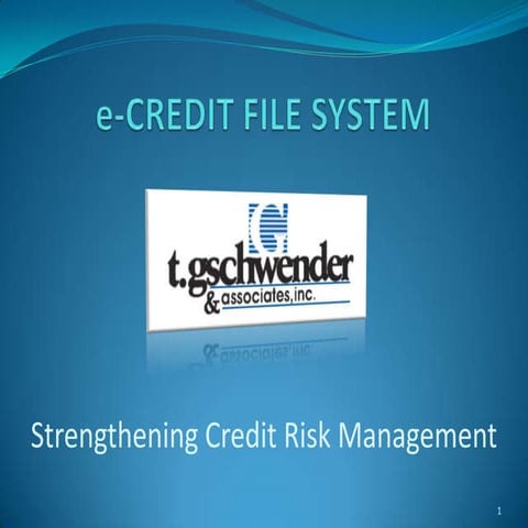 E credit file system | PPTX