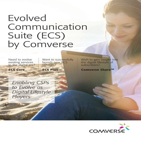 Company Overview | PDF