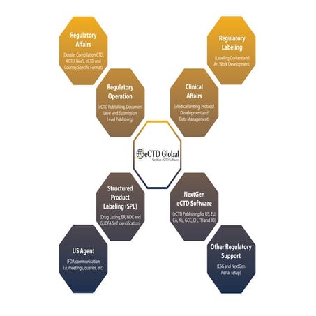 Ectd global-Services | PDF