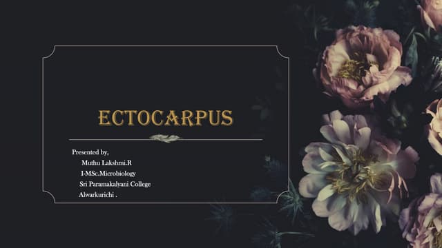 Ectocarpus | PPTX