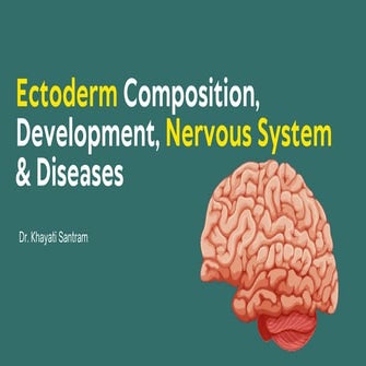 Ectoderm Composition, Development, Nervous System & Diseases.pdf