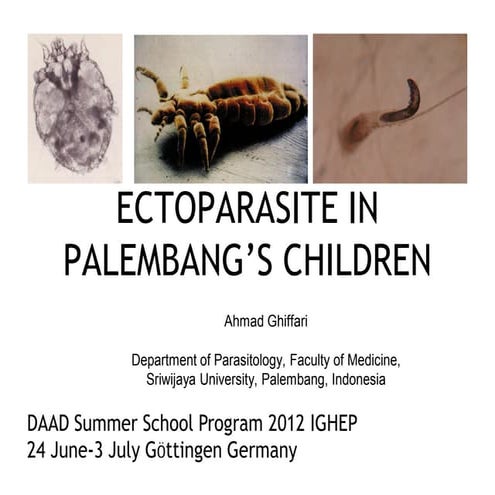 Ectoparasite of palembang children | PPT