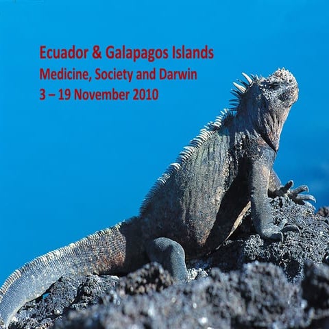 Ecuador and the galapagos islands 2010 | PPT