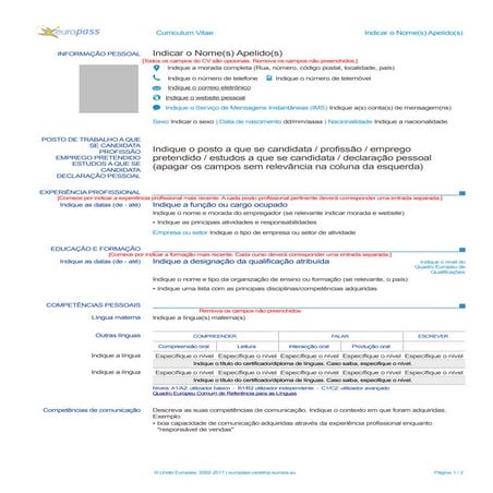 Ecv template pt | DOC