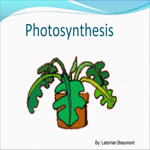 Photosynthesis | PPT