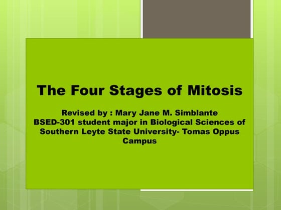 Mitosis | PPT
