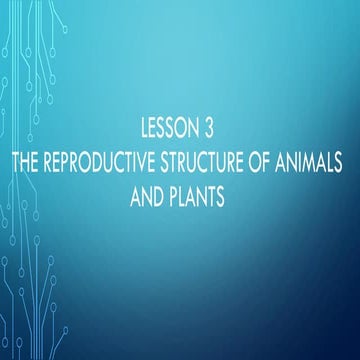 Ed-TSE-The reproductive structure of animals and plants | PDF