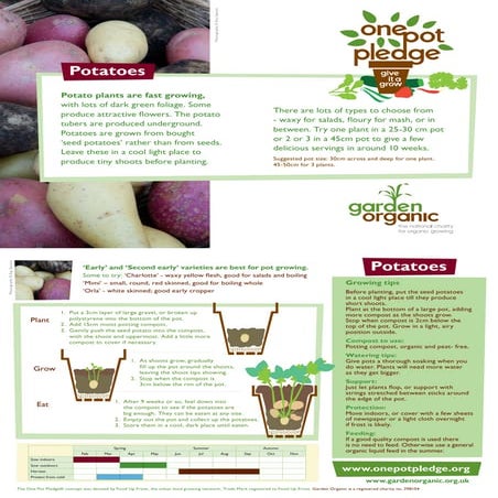 Potatoes - Organic Growing Guides for Teachers | PDF