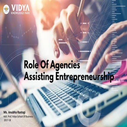 Role Of Agencies assisting Entrepreneurship | PDF