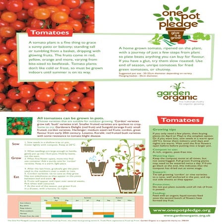 How To Grow Tomatoes | PDF