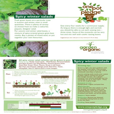 Winter Salads - Organic Growing Guides for Teachers | PDF