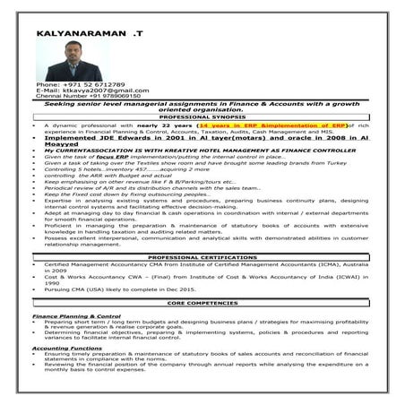 Mirza Faisal Hussain CV | PDF