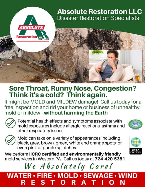 Potential for Disaster Flyer April 2016 | PDF