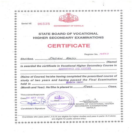 SAJAN - +2 - V.HSE CERT. | PDF