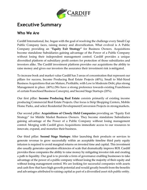 Executive Summary | Pdf