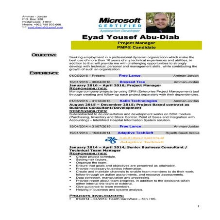 Youssef Farag CV | PDF